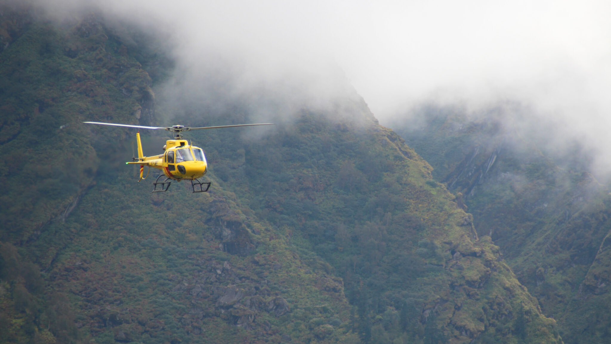 Discover Valley of Flowers in an Exclusive Same Day Heli-Tour with ...
